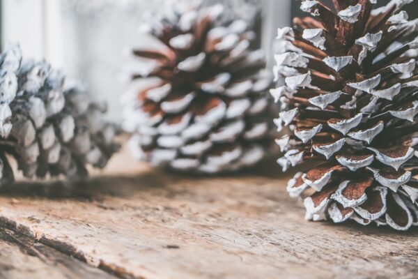 What is Yule? Everything You Need to Know for a Magical Winter Solstice ...